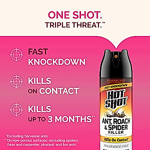 Hot Shot Ant, Roach & Spider Killer, Kills Roaches and Listed Ants On Contact, Indoor & Outdoor Use, (Unscented) 2 Pack, 17.5 Ounce
