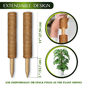 Voorjaar Moss Poles for Climbing Plants Monstera, 27 Inches 2 Pcs Indoor Plant Stakes to Support Upward Growth - Extendable 16" Coco Coir Poles with 4 Jute Strings and 10 Plant Labels