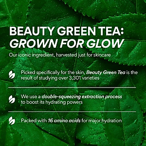 innisfree Green Tea Caffeine Bright-Eye Serum with Niacinamide, Cooling Korean Eye Roll On Serum, Hydrating Eye Cream (Packaging May Vary)