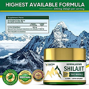 Himalayan Shilajit Resin Supplement 500mg, 85+ Trace Minerals Complex for Brain Booster, Energy, Immune Support, Overall Health - 50g (2-3 Month Supply)