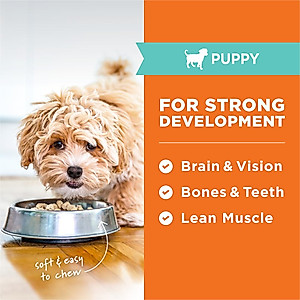 Instinct Freeze Dried Raw Meals Grain Free Dog Food, Dog Food Dry, Freeze Dried Dog Food, Raw Dog Food, Puppy Chicken Recipe, 9.5 oz