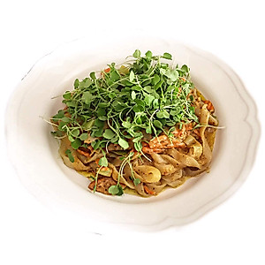 Miracle Noodle Fettuccine Shirataki Konjac Pasta Noodles - Ready-To-Eat, Plant Based, Keto, Vegan, Gluten-Free, Low in Carbs & Calories Pasta, Non-GMO, Soy Free, Paleo 7 Oz, 6 Pack