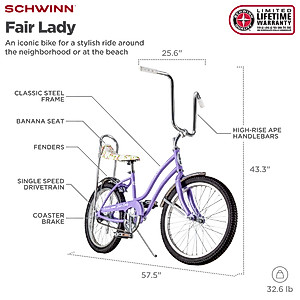 Schwinn Fair Lady Cruiser Bike, 20-Inch Wheels, Purple