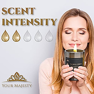 Sacred Forest Cedar & Sandalwood Candle [60H Burning Time] Natural Soy Candle Scented Infused with Essential Oils, Smokeless Aromatherapy Candle 8.81 Oz, Gift Packaging Included