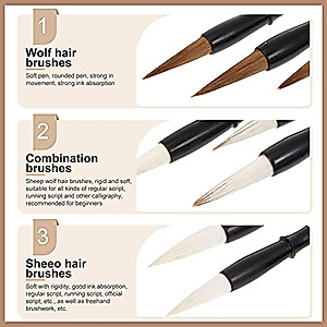 TOYANDONA 9 Pcs Chinese Water Brush Pen Ink Color Brush Chinese Japanese Calligraphy Pen for Beginner Painting Drawing Pen Art Supplies