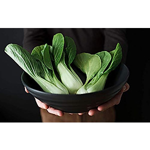 Gaea's Blessing Seeds - Bok Choy Seeds (2.0g) Canton Pak Choi Chinese Cabbage Non-GMO Seeds with Easy to Follow Planting Instructions - Heirloom 90% Germination Rate