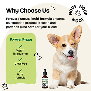 Gotu Kola for Dogs - Supplement for Dog Brain Health - Calming Dog Vitamins w/Centella Asiatica - Brain Support Dog Essentials w/Gotu Kola - Herbal Dog Vitamins and Supplements Liquid - 2 oz