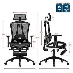 HOMESTOOL Office Chair Ergonomic Desk Chair with 2-axis Adjustable Lumbar Support, Carbon Fabric Mesh Chair PC Computer Chair High Back Office Chair with Waterfall Seat 330lbs Capacity Black