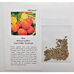 David's Garden Seeds Beet Detroit Golden FBA-00042 (Gold) 200 Non-GMO, Heirloom Seeds
