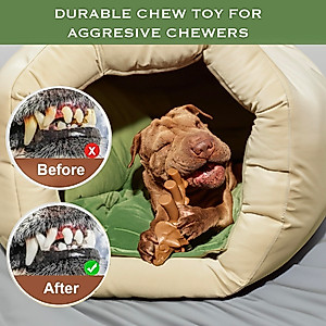 Durable Dog Chew Toy for Aggressive Chewers, Dinosaur Shape, Medium, Beef Flavor.
