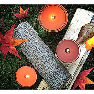 Root Candles Honeycomb Veriglass Scented Beeswax Blend Candle, Cinnamon Spice