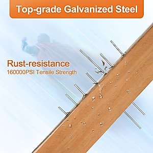 PINOZE 4200-Count 18 Gauge 1/4" Narrow Crown Staples (1-1/2" 1-1/4" 1" 3/4" 1/2") & 18GA Brad Nails (2" 1" 5/8"), Heavy Duty Galvanized Upholstery Staple for Pneumatic/Electric Stapler Gun/Brad Nailer
