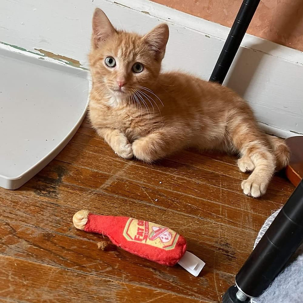 Huxley & Kent Cat Toy | Fat Cat Hot Sauce | Snack Attack Strong Catnip Filled Cat Toy | Soft Plush Kitty Toy with Catnip and Crinkle | Kittybelles