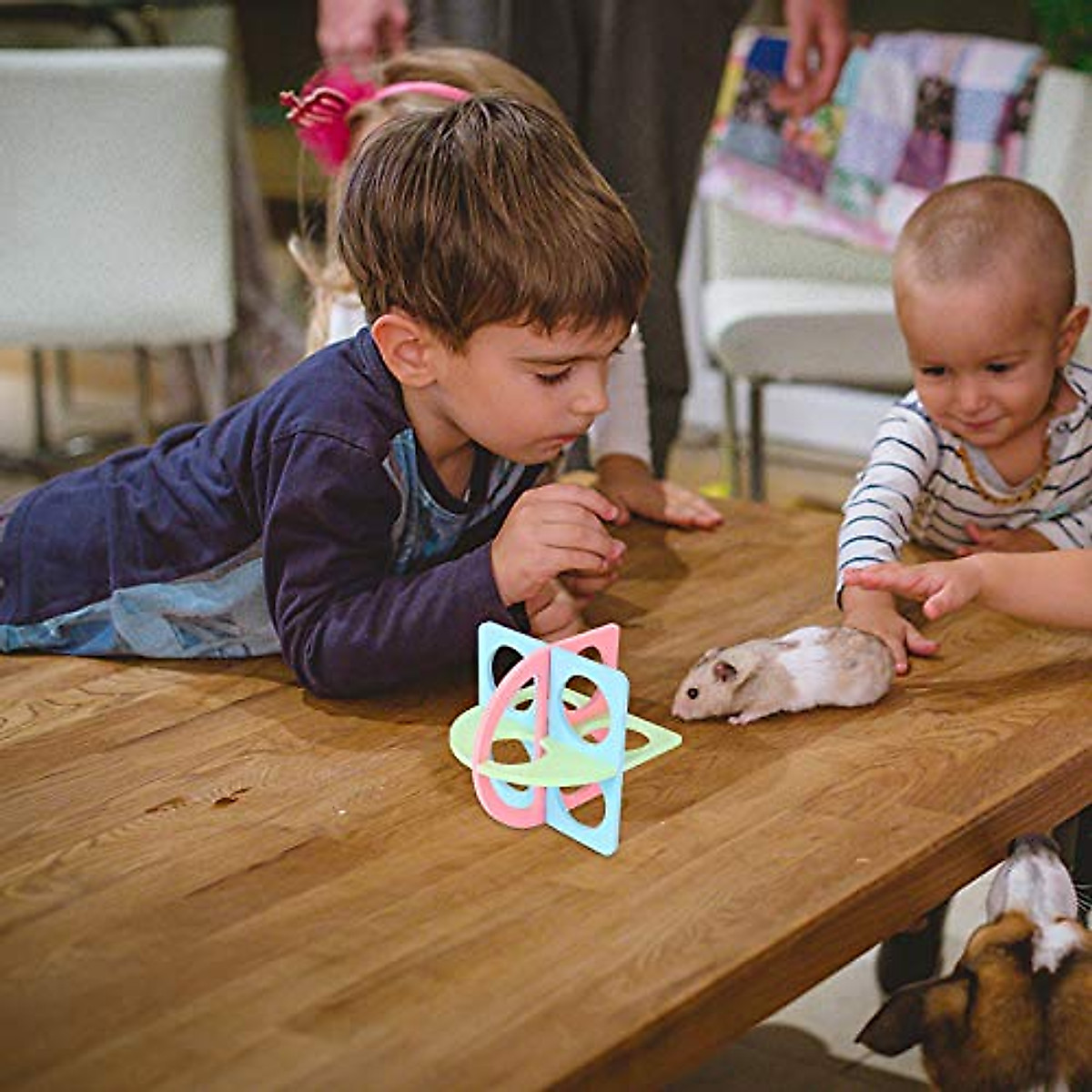 2PCS Pet Hamster Fitness Circle Toys Funny Hamster Playthings (Random Color) Funny Toys