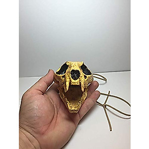 Aztec Death Whistle - Apex Predator