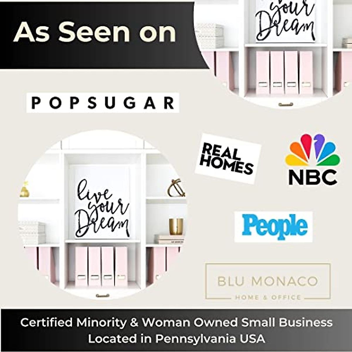 BLU MONACO Set of 6 Foldable Pink Cute Magazine Holders with Gold Label Holders - Stylish Magazine Storage for Desk, Shelves, and Closets - Book Bins, Files Organizers and Document Storage