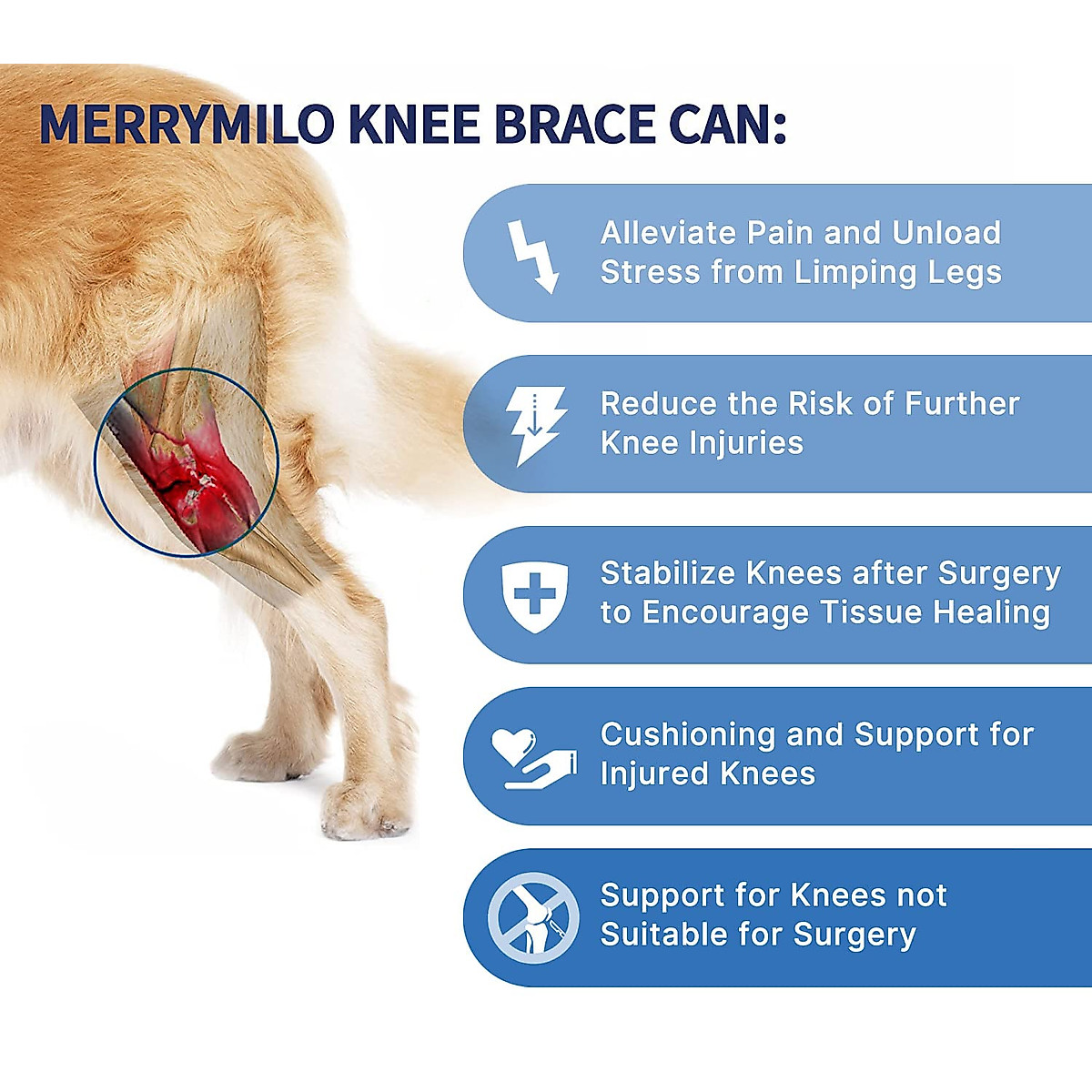 MerryMilo Dog Knee Brace for Hind and Rear Leg, Support for Dog ACL CCL Cruciate Ligament Injury Joint Pain and Muscle Sore, Size XL