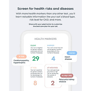 Basepaws Cat Dental Health Test | Provides Risk Scores for Dental Conditions: Periodontal Disease, Bad Breath, Tooth Resorption | Report Provides Personalized Health Care