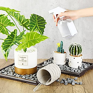 2 Pack Bonsai Humidity Tray 9 Inch Drip Tray Rectangular Plastic Plant Water Catcher Tray Plant Saucers for Indoors and Outdoors Cactus, Succulents, Bonsai Tree, Houseplants Drainage and Moisture