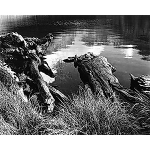 Shoreline, East Lake (#1)