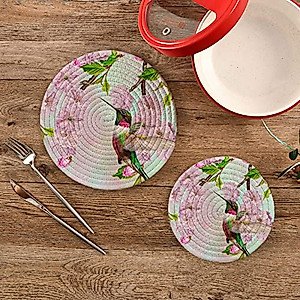 Trivets for Hot Pots Dishes Heat Resistant, Hummingbird Hot Mats Pads for Kitchen Decorative Counter Tops Dining Washable Pot Holder Coasters Set