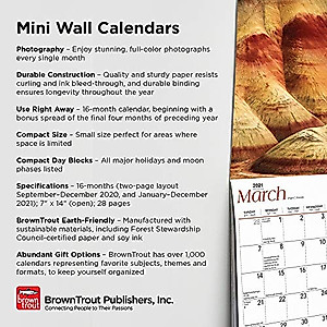 Live With Intention 2021 Calendar: Brush Dance