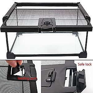 kathson Mini Reptile Glass Terrarium Tank 12"x8"x6" Amphibians Habitat Cage Full View Visually Appealing Sliding Screen Top for Bearded Dragons Lizards Geckos Hermit Crab Frog