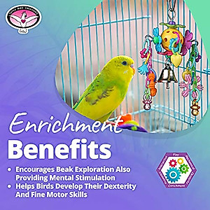 Super Bird Creations SB1088 Birdie Bouquet Bird Toy, Small/Medium Bird Size, 6" x 3" x 2"