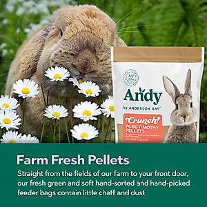 Andy Timothy Hay Pellets, Crunch! Pure Organic Rabbit Food, 15 lb Bag, Premium Guinea Pig and Chinchilla Hay, Balanced Nutrition for Rabbits, Chinchillas, and Guinea Pigs