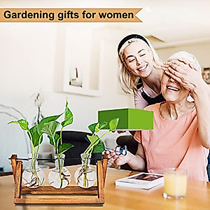 RENMXJ Plant Propagation Station, Gifts for Women, Home Office Garden Decor Planter(3 Bulb Vase)