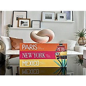 InspireMe Decorative Books for Home Decor, Faux Book Storage Box, Travel Table Books - Paris, New York, Mexico - Set of 3