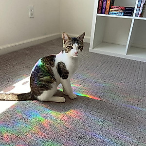 Shawula 36PCS Circle Window Clings - Anti-Collision Window Decals to Save Birds from Window Collisions,Non Adhesive Prismatic Vinyl Window Clings, Rainbow Stickers