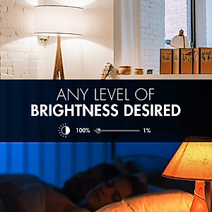 Tenergy 4 Pack Smart WiFi Led Light Bulb with White and Color Changing Light Bulb A19, No Hub Required LED Bulb with APP Compatible with Alexa and Google Home Assistant