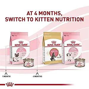 Royal Canin Feline Health Nutrition Mother & Babycat Dry Cat Food, 3 lb Bag