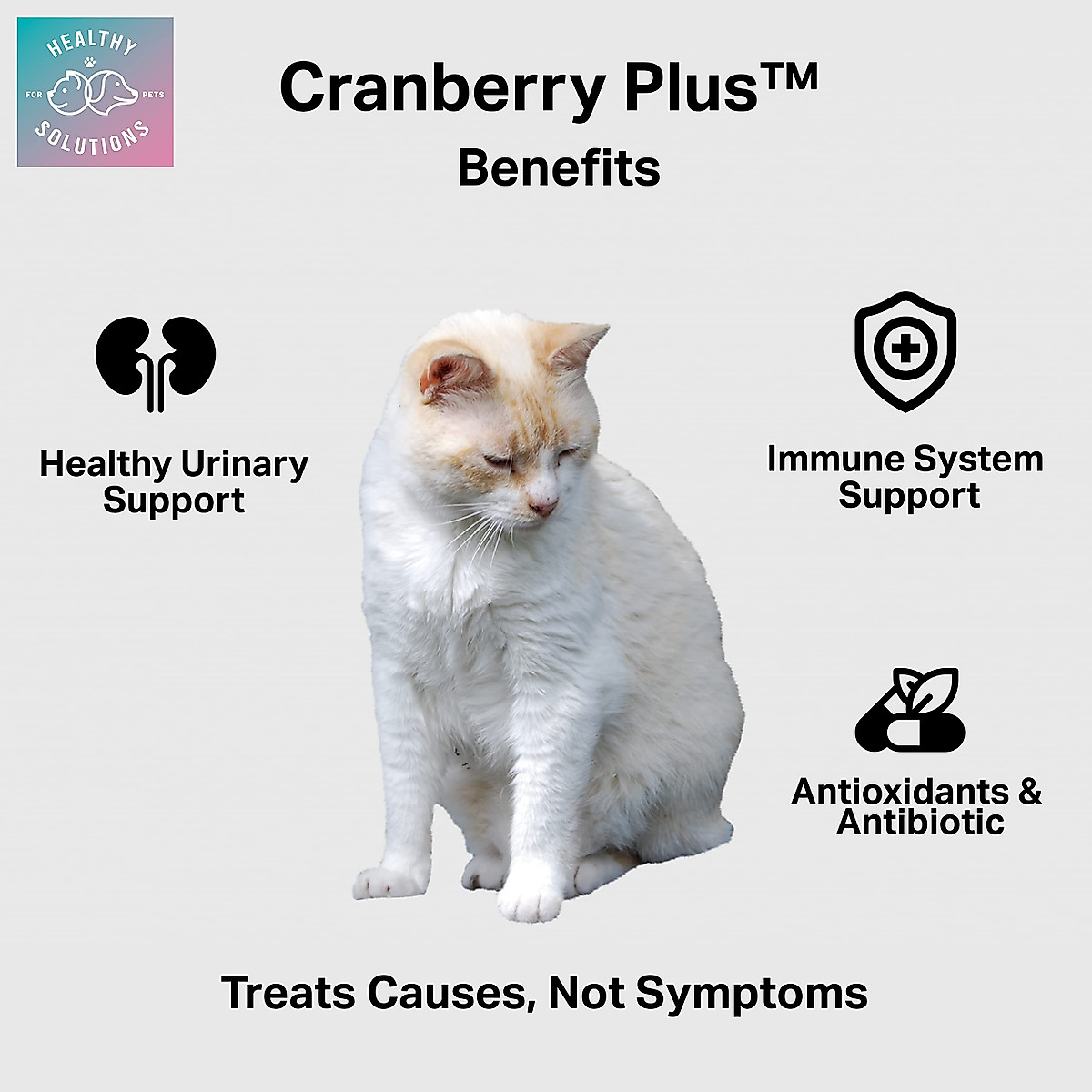 Cranberry Chews for Cats - UTI, Bladder, Kidney, & Urinary Tract Support - Cat Health Supplements Contain Cranberry Extract, Echinacea, Vitamin C, and Astragalus Root - 60 Soft Treats