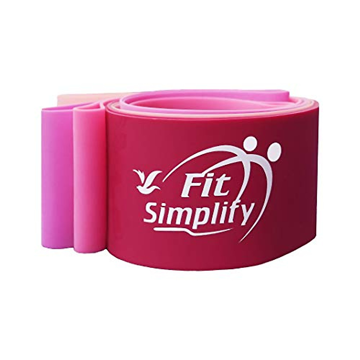 Fit Simplify Resistance Loop Exercise Bands with Instruction Guide and Carry Bag, Set of 5