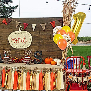 Pumpkin 1st Birthday Banner Autumn Fall First Party Decoration Highchair One Orange Yellow Glitter Gold Balloon Tissue Paper Tassel Garland Supplies