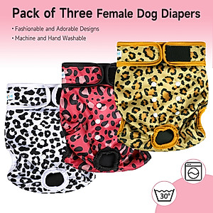 Paw Legend Washable Reusable Female Dog Period Diapers for Heat Doggie Puppy Diapers for Female Dogs (3 Pack, Leopard, X-Small)