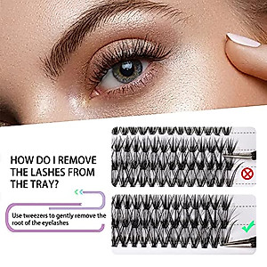 Individual Lashes DIY Eyelash Extension,160 Pcs Cluster Lashes zanlufly Mix colored lash Extension,8-16MM Mix Soft Lightweight Cluster Lashes for Home use