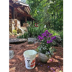 BioBag (USA) Compostable 6-8 Gallon Bag, 45 Count