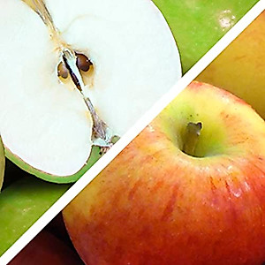 Fruit and Gourmet Deluxe Gift Box