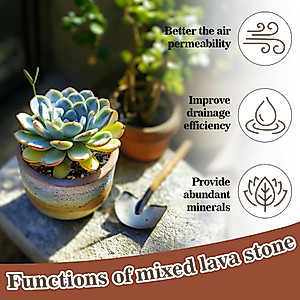 Sukh 2LBS Horticultural Succulent Rocks Bonsai Mix Succulent Potting Mix Lava Rocks Cactus Soil Potting Mix Amendment.