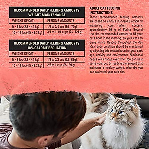 Purina Beyond Grain Free, Natural Dry Cat Food, Simply Indoor Salmon, Egg & Sweet Potato Recipe - 3 lb. Bag