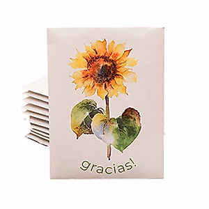 Gracias! 25 Sunflower Seed Packets for Planting - Helianthus Flower Seeds - Garden Seed to Grow Live Plants - A Beautiful Gift That Says Thank You in Spanish - Bentley Seed Co.