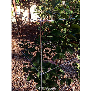 Galvanized Square Folding Tomato Cage Plant Support Stake Tower 12 inch by 46 inch, Pack of 2 Sets