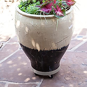 Devault Enterprises DEV3012GM Plant Dolly, 12", Grey