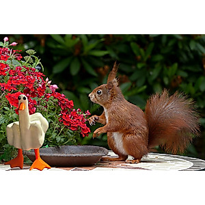 Middle Finger Duck You Figurine Statue - Funny Little Duck Resin Decor - Home Desk Office Garden Duckling Statue Deocration - Funny Joke Prank Gag Quirky Gift for Guys Adults Men