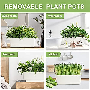 20 Pods Hydroponics Growing System, Herb Garden Kit Indoor Adjustable Height with Automatic Timer 34-Watt LED Grow Light, Indoor Garden with 4 Removable Water Tank, Gifts for Plant Lovers