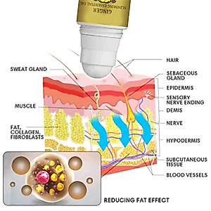 Pacx Gynecomastia Firming Ginger Roller, Gynecomastia Tightening Ginger Cream, Natural Tightening Ginger Cream Make Chest Shape Tough and Strong, Effectively Shrinks Men Chest Tightening (2pc)
