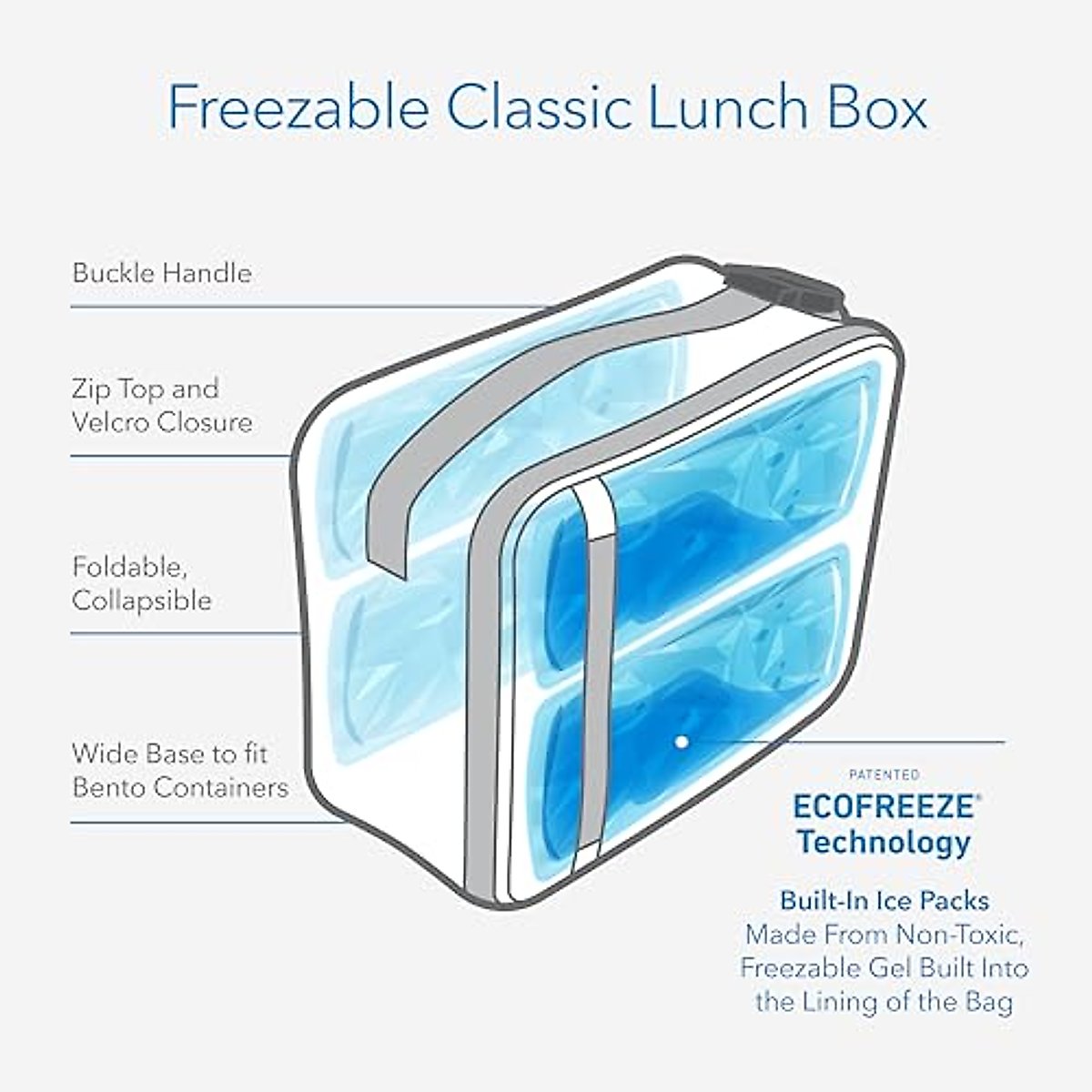 PackIt Freezable Lunch Box, Dino Fossils Neon, Built with EcoFreeze Technology, Collapsible, Reusable, Zip Closure, Perferct for Fresh Meals On the Go